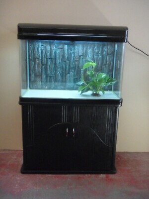 HY800B Curved Glass Fish Tank (105 lit) complete setup (Pickup Only ...