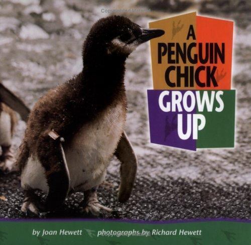 Penguin Chick Grows Up (2004, Library Binding) for sale online | eBay