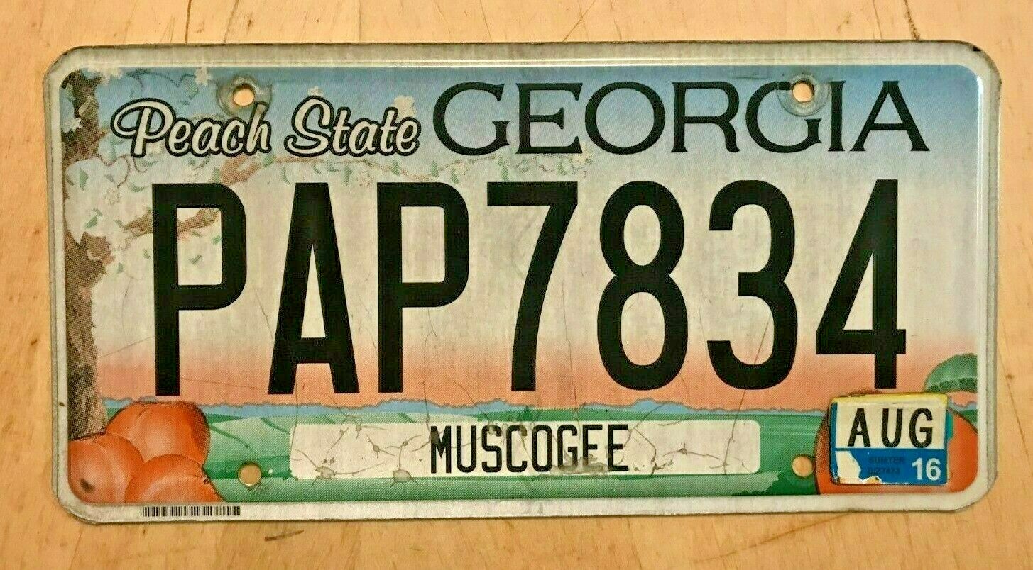 GEORGIA GRAPHIC AUTO LICENSE PLATE " PAP 7834 " PAPPY SMEAR GYN ...