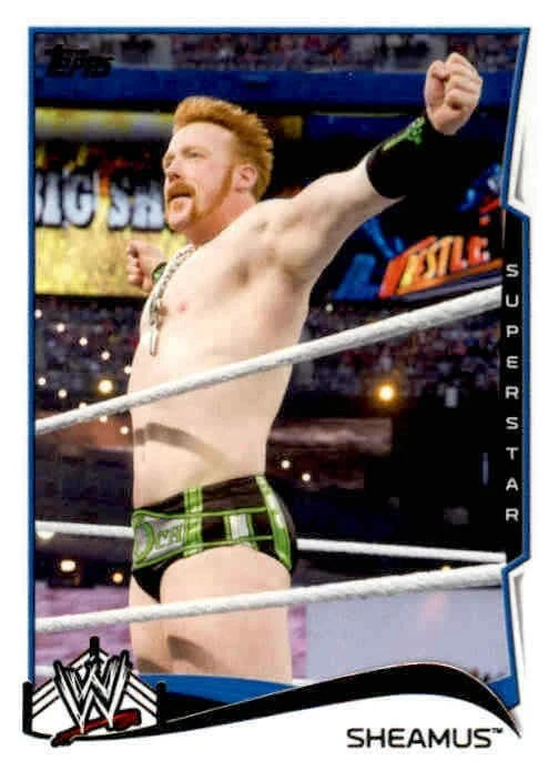 Sheamus 2006