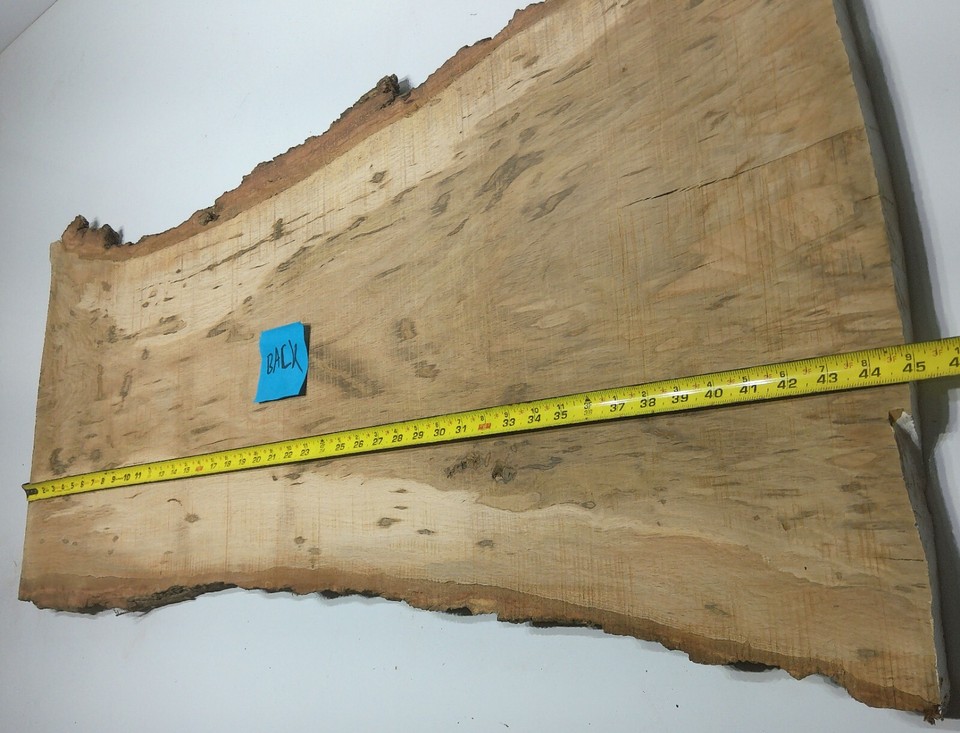 Walnut BIG SLAB CUT 150year Old Tree Live Edge #498 AMAZING RARE ...