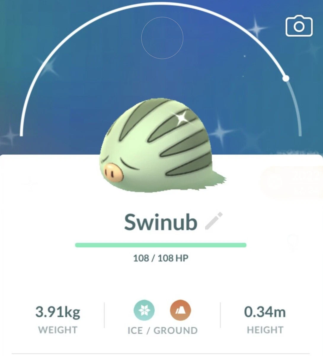 Shiny Swinub