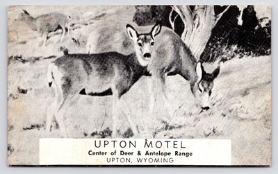 Upton Motel Deer & Antelope Range Highway 16 Upton Wyoming WY 1950s ...