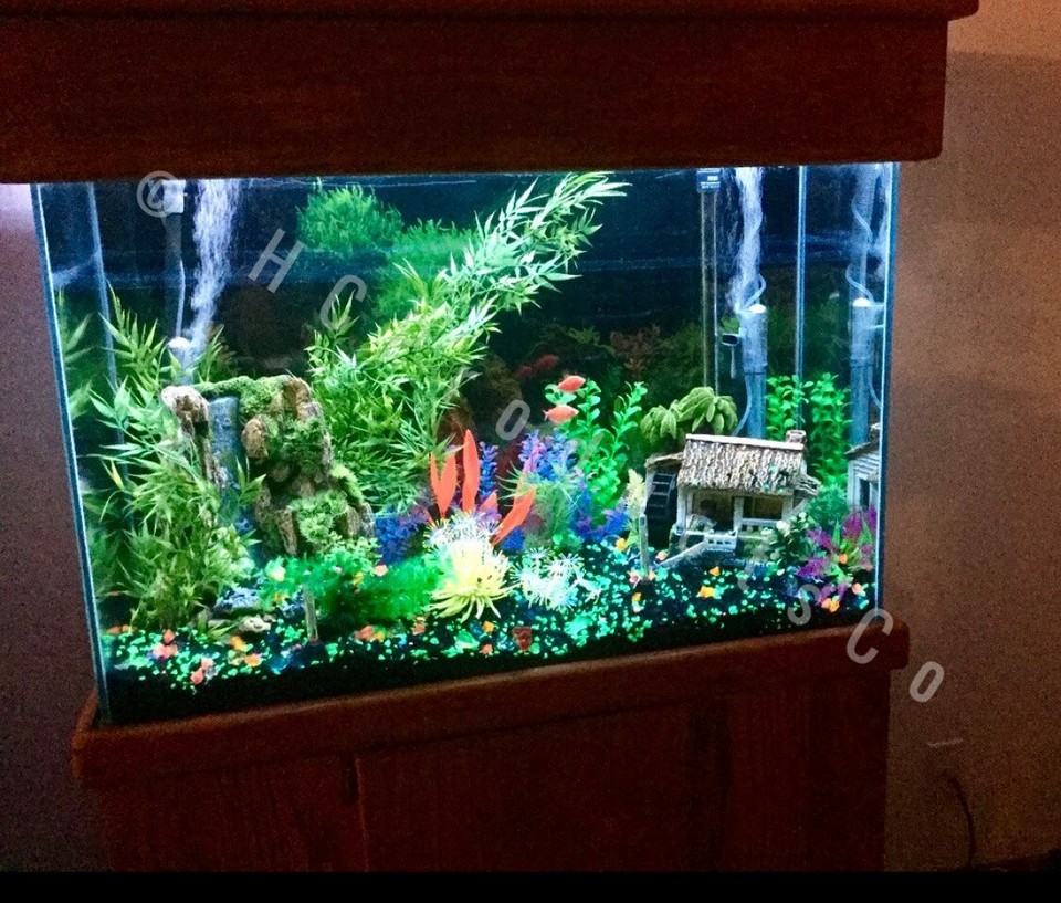 Voice Controlled Fish Tank LED Lights with 20 Color Options | eBay