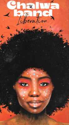 Chalwa Band - Liberation (LP) (Near Mint (NM or M-)) - 2114523227 | eBay