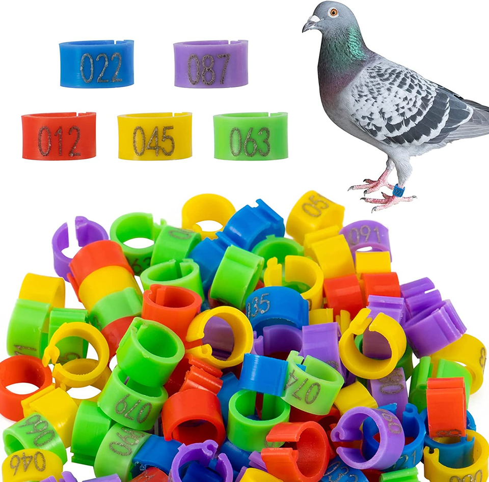 MEWTOGO 8Mm 100 Pcs Bird Pigeons Leg Bands - Colorful Readable Numbered ...