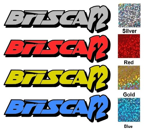 BRISCA F2 stock car vinyl sticker logo GLITTER and black 190 x 50mm ...