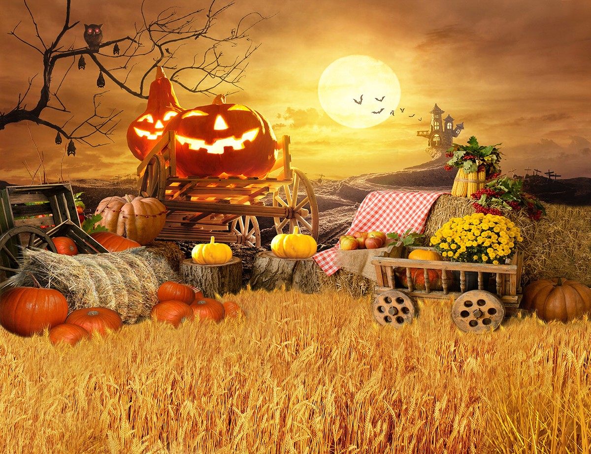 Fall Pumpkin Desktop Background Harvest Bounty: Squash & Pumpkin HD