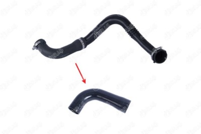 Turbocharger Air Hose RENAULT Megane I Scenic I 1.9 DCi 8200141188 ...