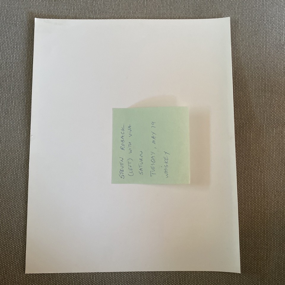 Steven Roback & Viva Saturn Press Photo 8x10”, Rain Parade. | eBay