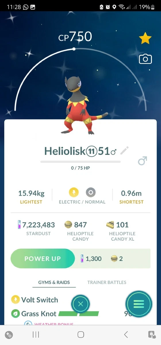 Helioptile Evolution