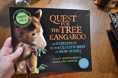 QUEST FOR THE TREE KANGAROO AN EXPEDITION TO CLOUDFOREST OF NEW GUINEA ...