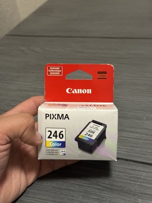 Canon CL-246 Color Ink Cartridge New Sealed In Box 932177570003 | eBay