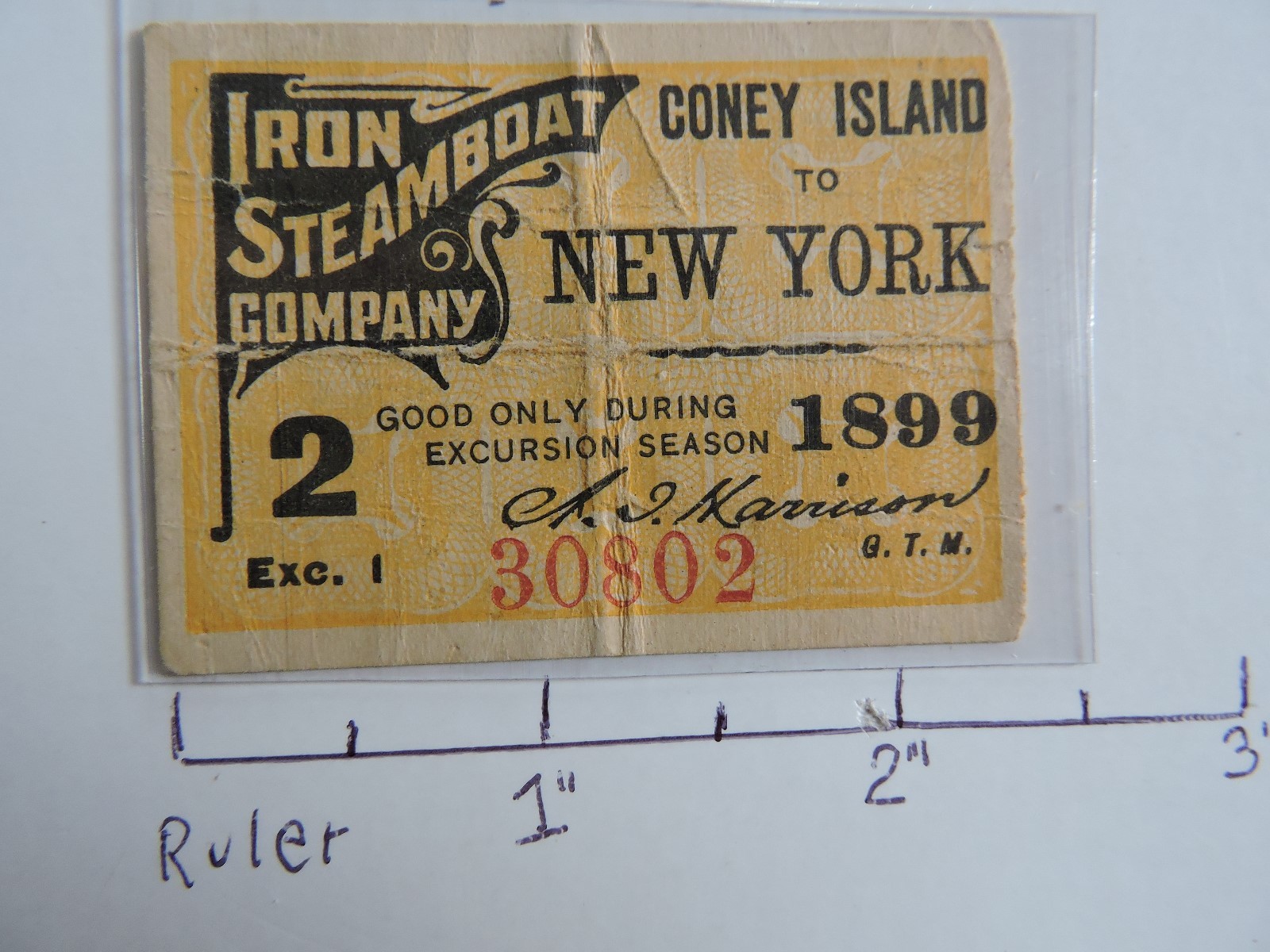 Rare 1899 Steamer Coney Island to New York City NYC Iron Steamboat ...