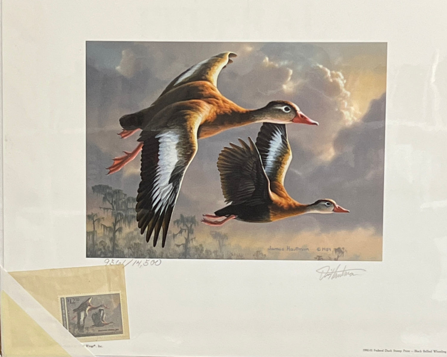 James Hautman 1990-91 Federal Duck Stamp print with Stamp-Protected ...