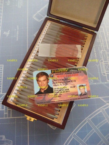 Dexter Morgan Driver's License Prop Cosplay | eBay