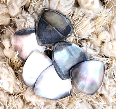 Set of 6 rare Christmas gift Gray color abalone shell Guitar picks ...