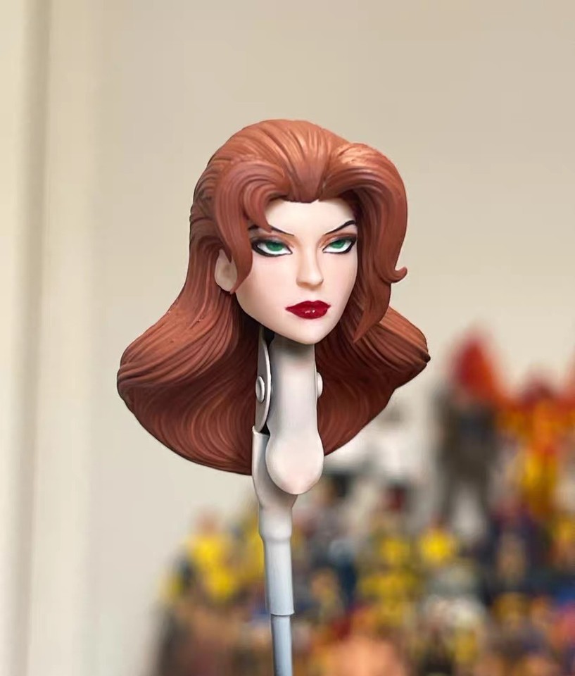 1/12 Painted Comics Human Hawkgirl Head Carved Fit For 6inches Action ...