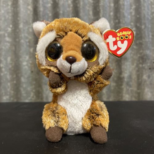 Ty Beanie Boos Rusty The Raccoon 2018 Plushy Soft Toy NEW WITH TAGS | eBay