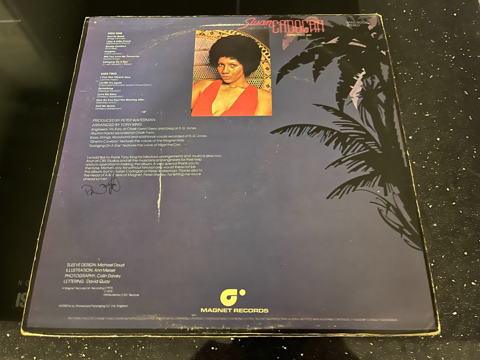 Female Singers LP/Vinyl Record Bundle | eBay UK