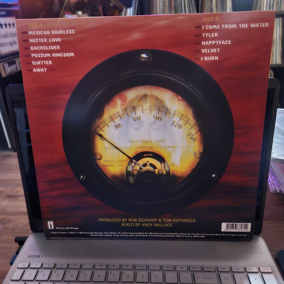 Toadies Rubberneck Vinyl LP Record Music On Vinyl NM Beautiful Copy | eBay