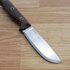 Condor Swamp Romper Fixed Knife 4.75" 1075 Steel Full Tang Blade Walnut ...