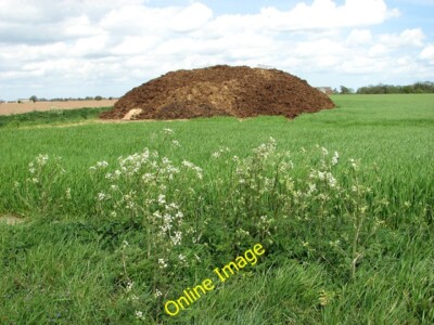 Photo 6x4 Muck heap in field by Oxpit Farm, Limpenhoe Limpenhoe Hill ...