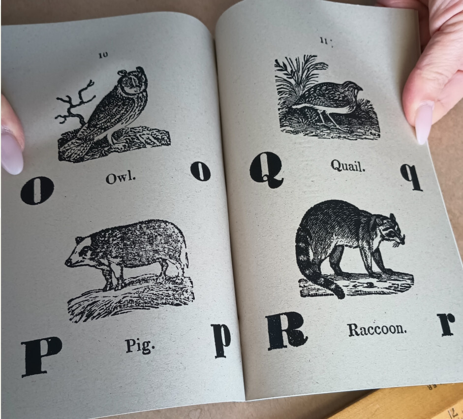 Oliver Spafford (1850) No 6 The Picture Alphabet Erie PA * Animals ABC ...