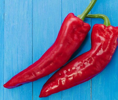 SEED- Marconi Rosso/Red Sweet Pepper Giant Marconi Italian Heirloom ...