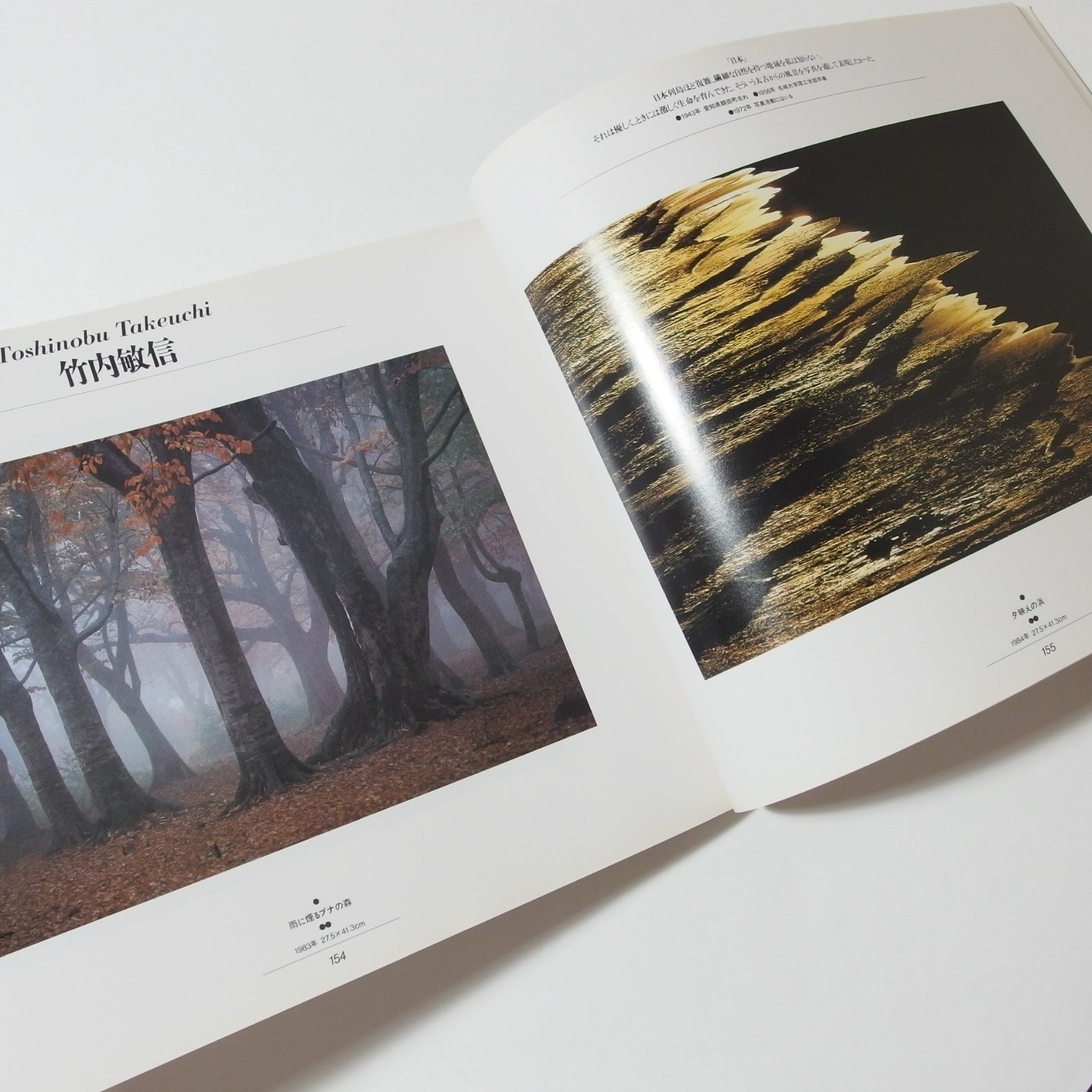 "Flowers, Nature and Greenery" Photo Album Jun Miki Shotaro Akiyama ...