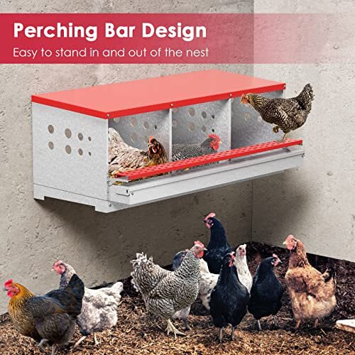 Chicken Nesting Boxes, 3 Hole Nesting Box for Chickens with Egg ...