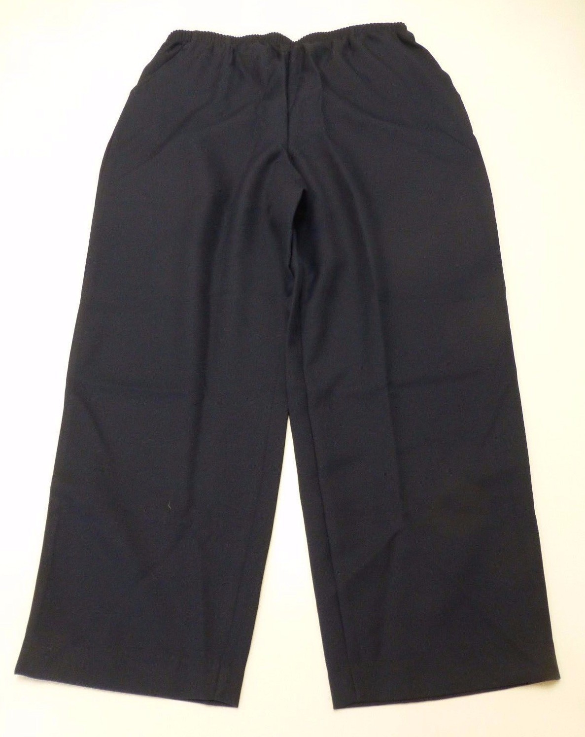 Blair Pants Womens 20W Blue Polyester Tummy Control Casual Pants New ...