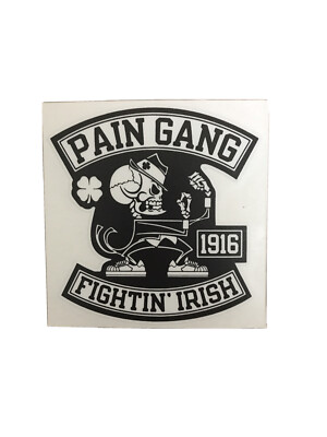 Pain Gang Sticker Decal 1916 Fighting Irish Skull Laptop Skateboard ...