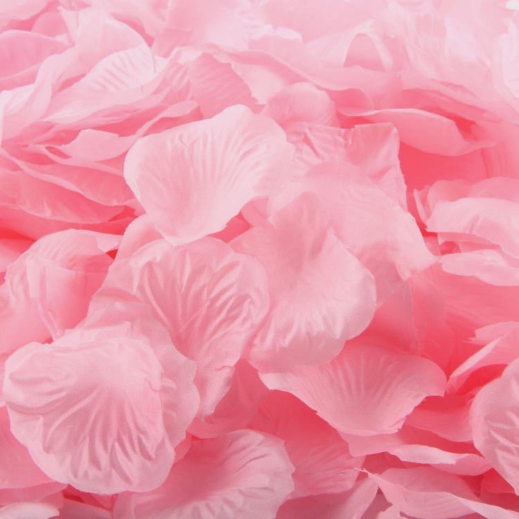 Light Pink Rose Petals Download Premium Image Of Pink Rose Petals