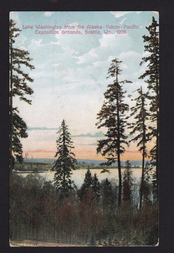 1909 Lake Washington view from AYPE exposition Seattle postcard | eBay