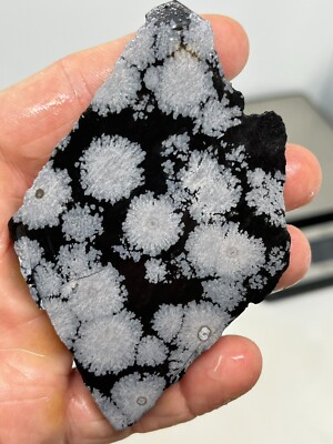 Flower Obsidian (large snowflake) Slab Cabbing Carving Chakra Reiki ...