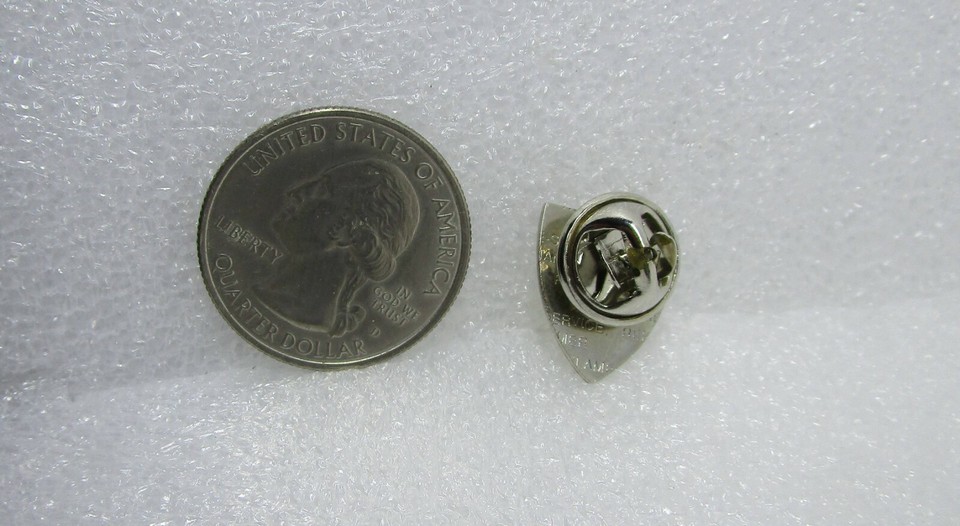 Buffalo Bison Pin | eBay