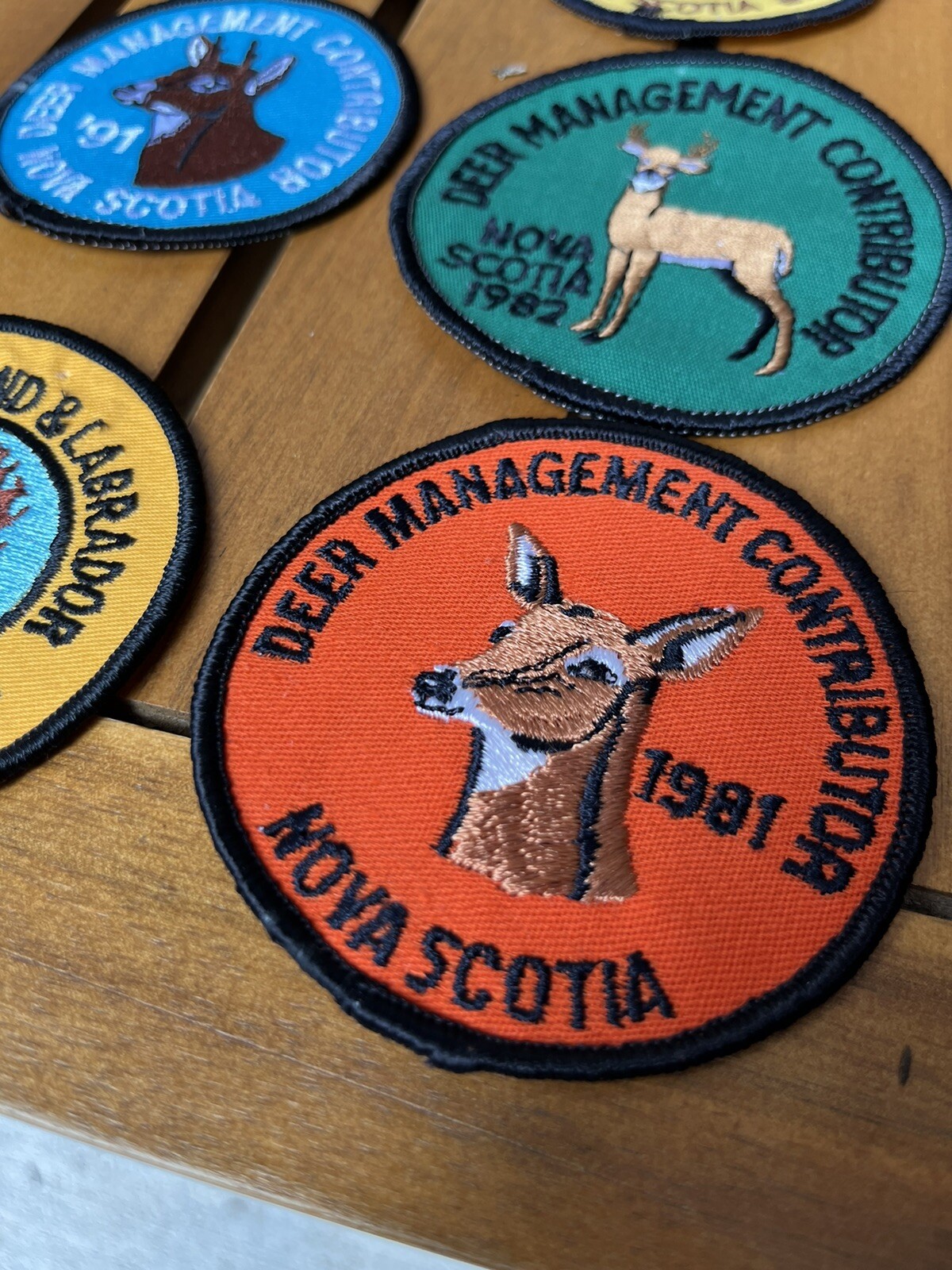 6 vintage Round Patches Deer Management wildlife 3” - Gem