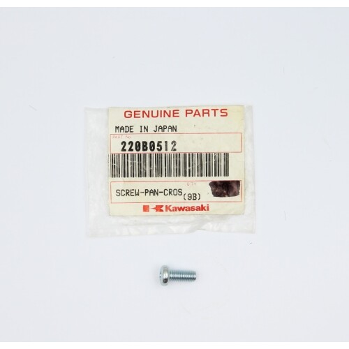 Kawasaki Cross Pan Screw 5x12 (Silver) Part Number - 220B0512 | eBay