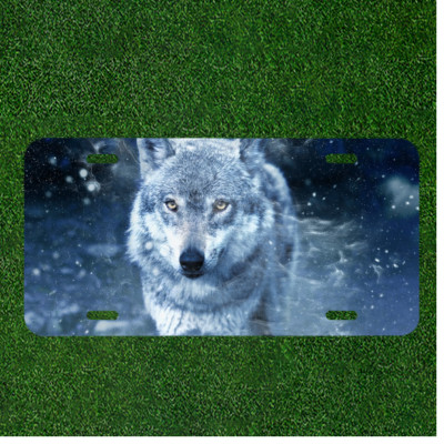 Creative License Plate Auto Tag With Amazing Wolf With Yellow Eyes ...