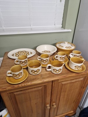 Vintage Royal Worcester Palissy Kalabar 17-Piece Set. Mustard Yellow ...