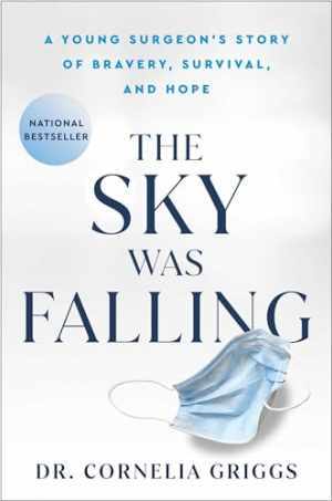 The Sky Was Falling: A Young - Hardcover, by Griggs Dr. Cornelia - Good ...