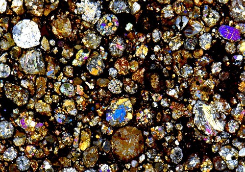 Meteorite NWA 16457 - LL3 Chondrite with great chondrules ! Thin ...