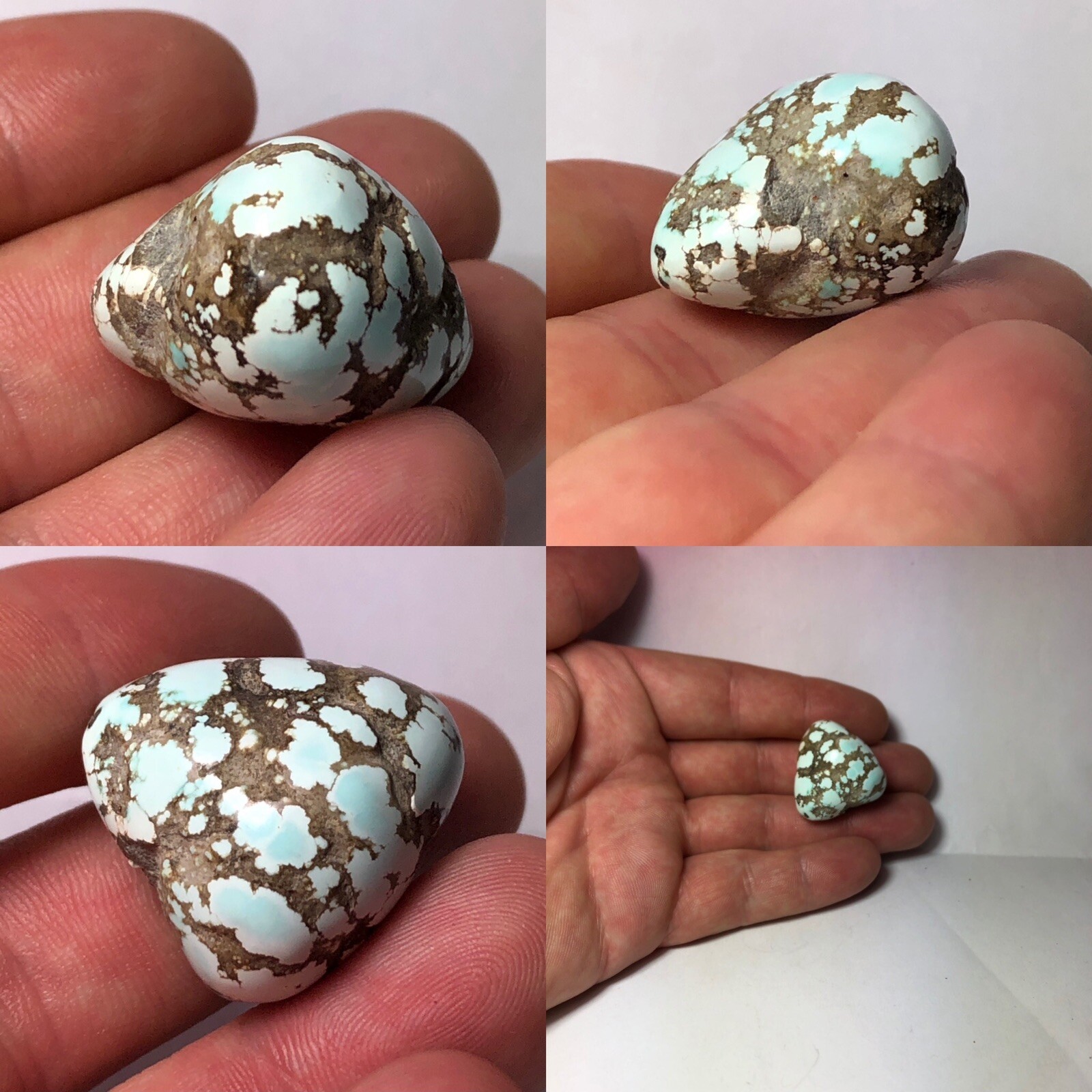 68 ct natural untreated lone mountain turquoise pseudomorph clam fossil ...