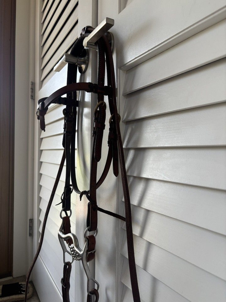 Futurity Knot Leather Western Horse Bridle W/ Curb Bit & Weaver Loop ...