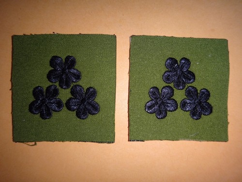Vietnam War Pair Of ARVN CAPTAIN Rank "DAI UY" Subdued Collar Patches ...