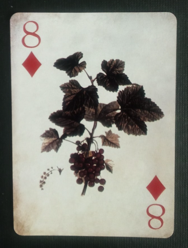 Masterpiece Playing Card Botanical Grapes (B) 8 Diamonds | eBay