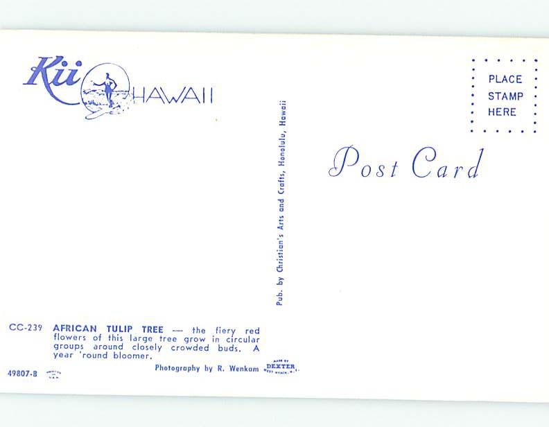 Pre-1980 AFRICAN TULIP TREE Honolulu & Maui Hawaii HI AD2297 | eBay