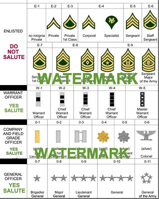 2025 UNITED STATES ARMY RANK CHART PHOTO REFERENCE ENLISTED OFFICER ALL ...