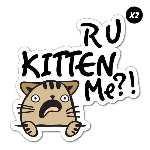 2x R U Kitten Me Sticker | eBay